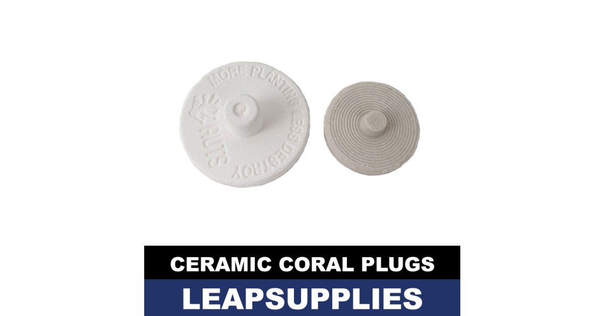 Ceramic Coral Plugs | LEAPsupplies Singapore