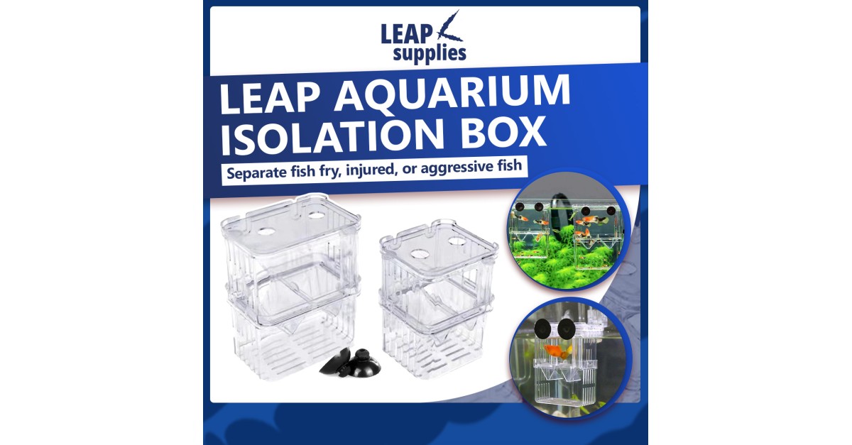 LEAP Aquarium Isolation Box | LEAPsupplies Singapore